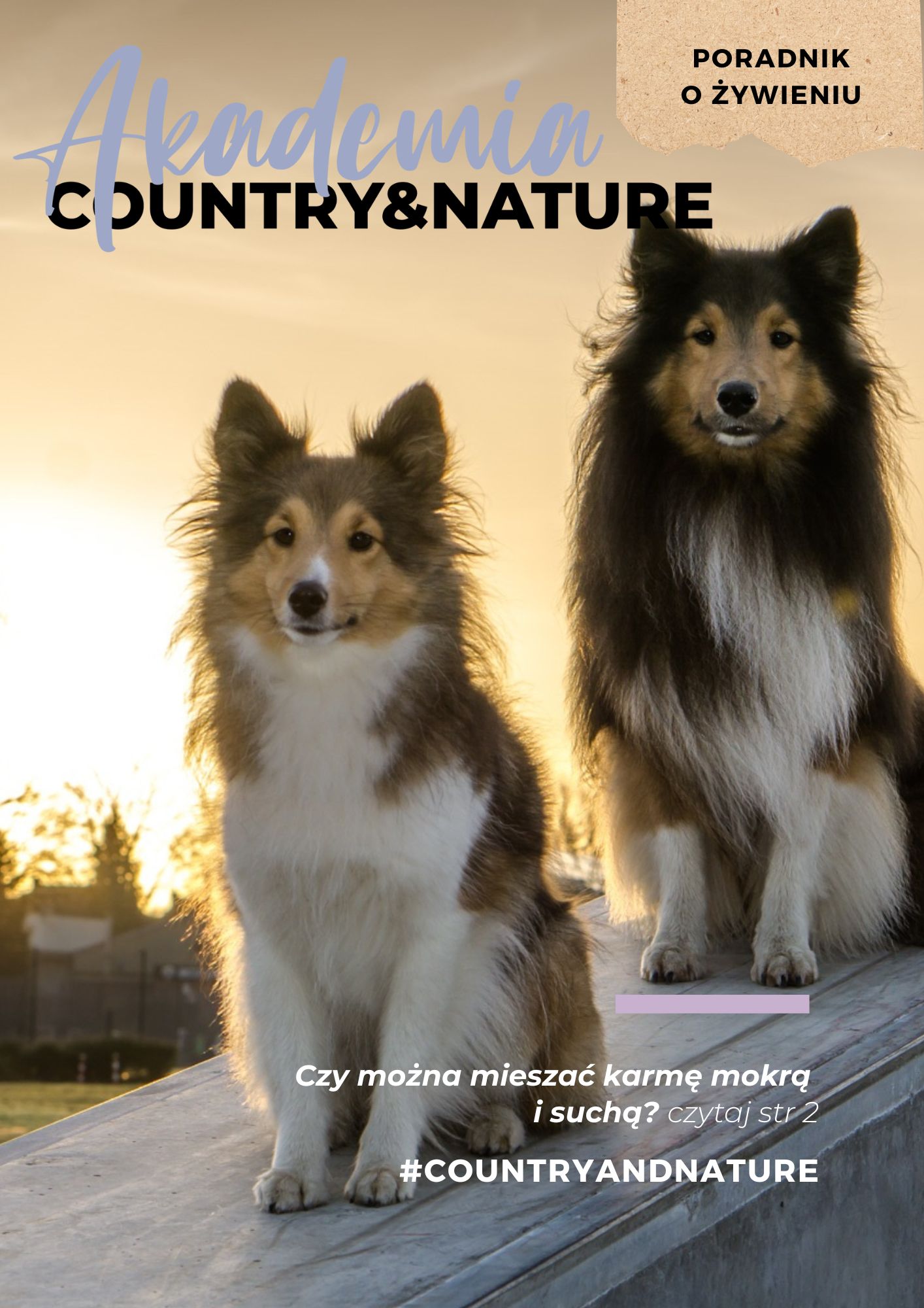 Akademia COUNTRY&NATURE :: ZDROWIE PSA :: Praktyczny poradnik dotyczący ...